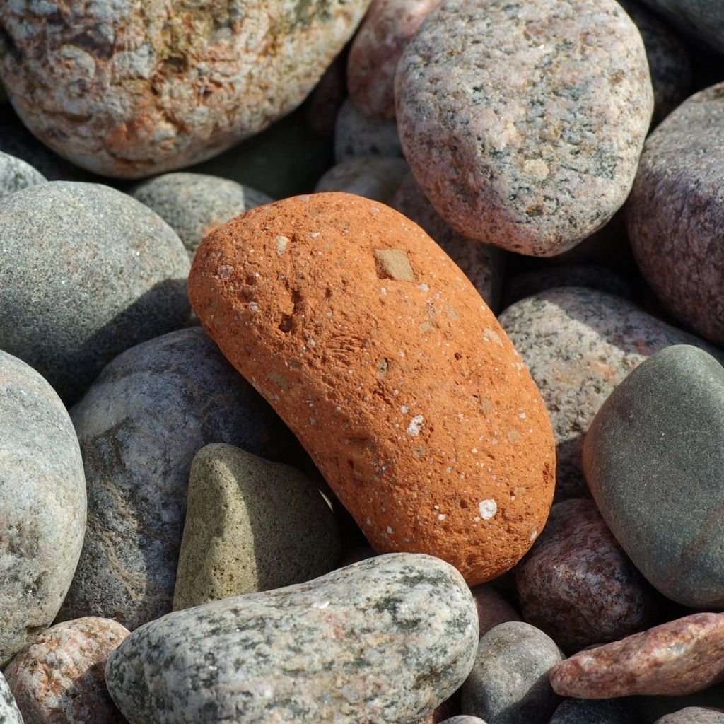 7 Chakra Colors & Their Meanings (Learn How to Activate Them!)